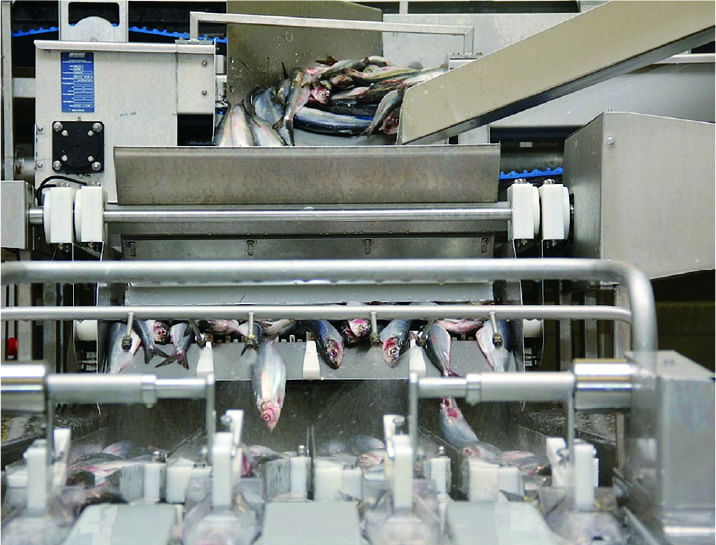 DH Electirc / DH Shipping | Introduction | DONGHA CO., LTD.